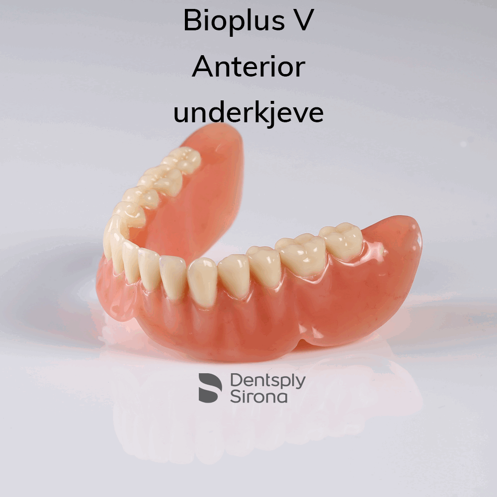 Bioplus V Anterior protesetenner 6 stk UK - DENTALSPAR AS